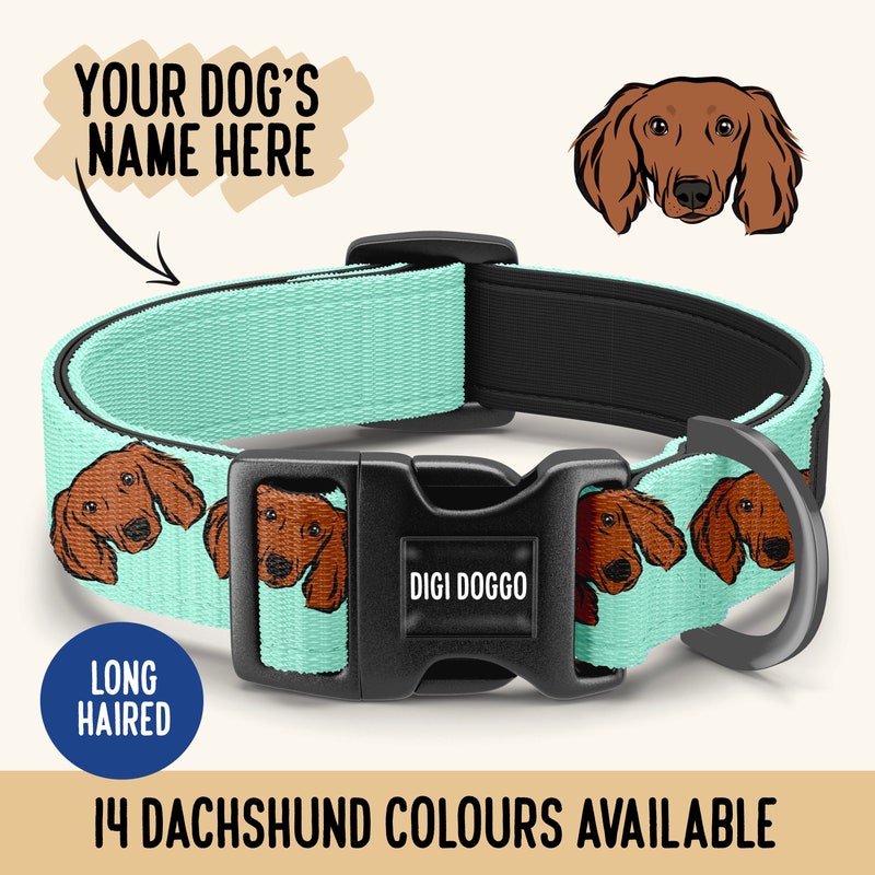 Dachshund Collar - Etsy