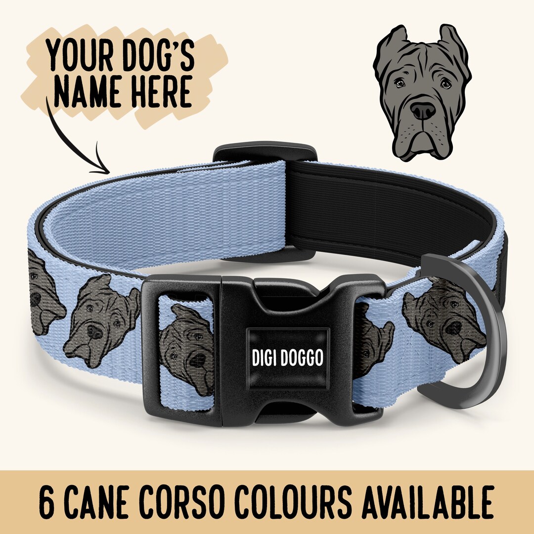 Cane Corso Collar/ Custom Pet Buckle Collar/ Large Dog Breed Collar ...