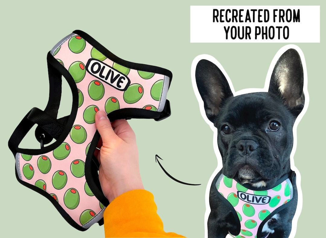 Personalised Dog Harness/ Themed Harness Design/ Custom Drawing Pattern ...
