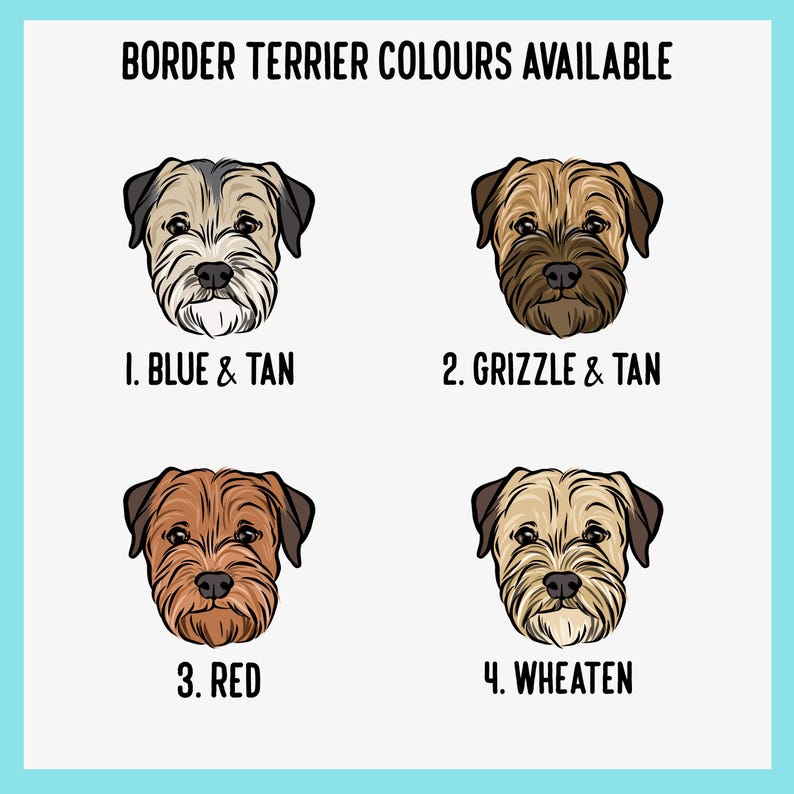 Personalized Border Terrier Dog Collar: Custom Breed Colors - Etsy UK