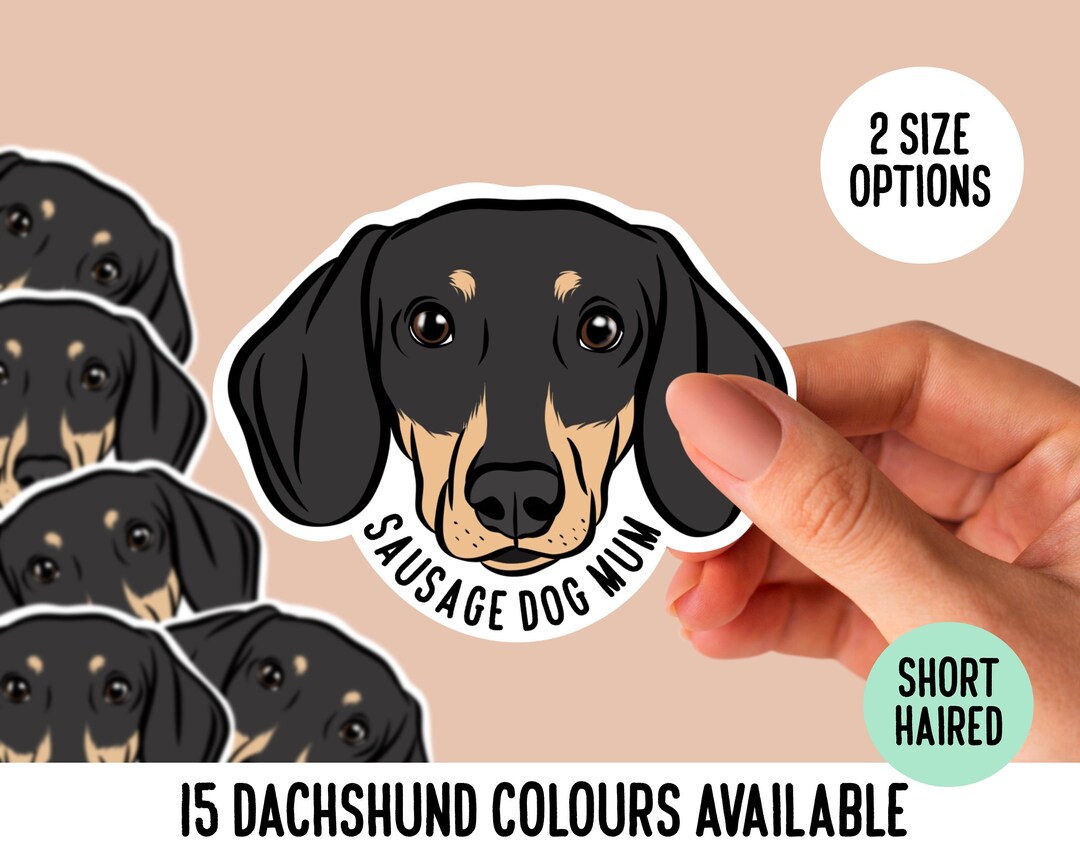 Custom Dachshund Stickers/ Personalised Sausage Dog Owner - Etsy