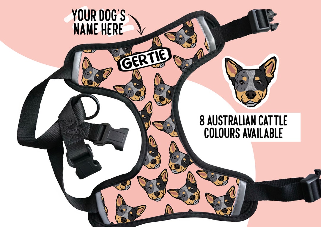 Australian Cattle Harness/ Personalised Dog Face Harness Custom Dog ...