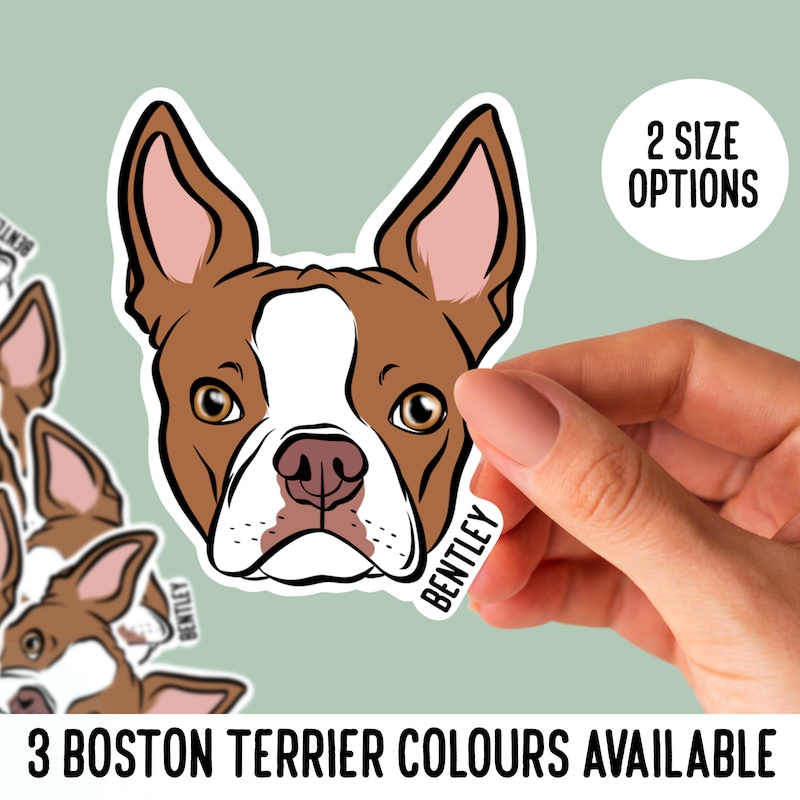 Boston Terrier - Etsy