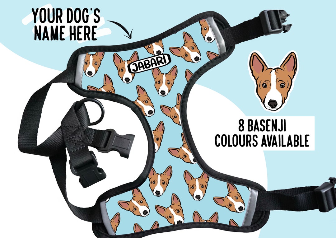 Personalised Basenji Harness/ Custom Basenji Breed Adjustable Harness ...