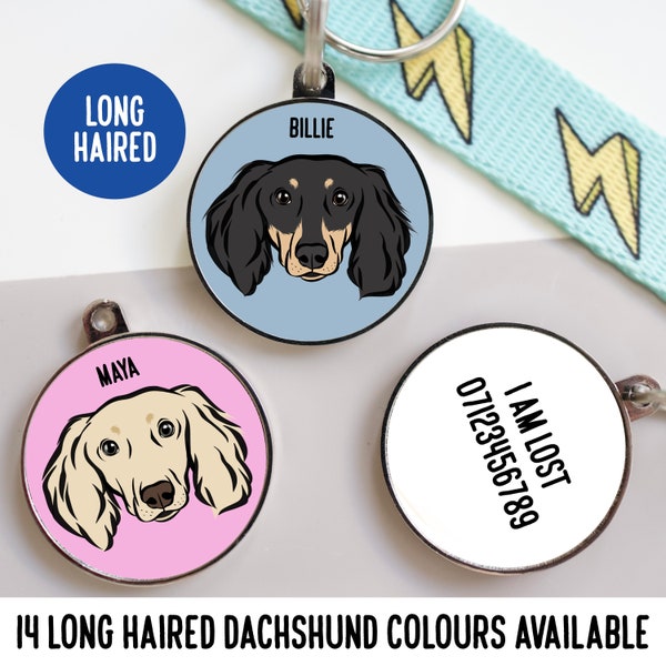 Dachshund Portrait - Etsy