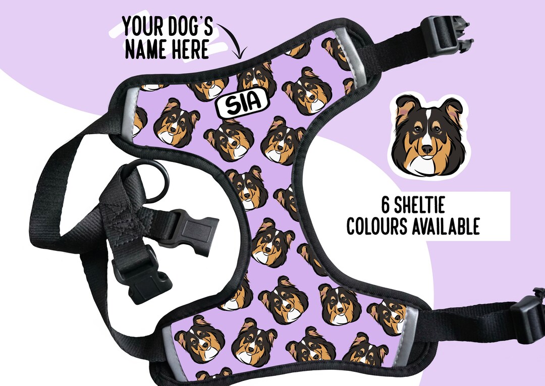 Personalised Sheltie Dog Harness: Custom Shetland Sheepdog Name & Breed ...