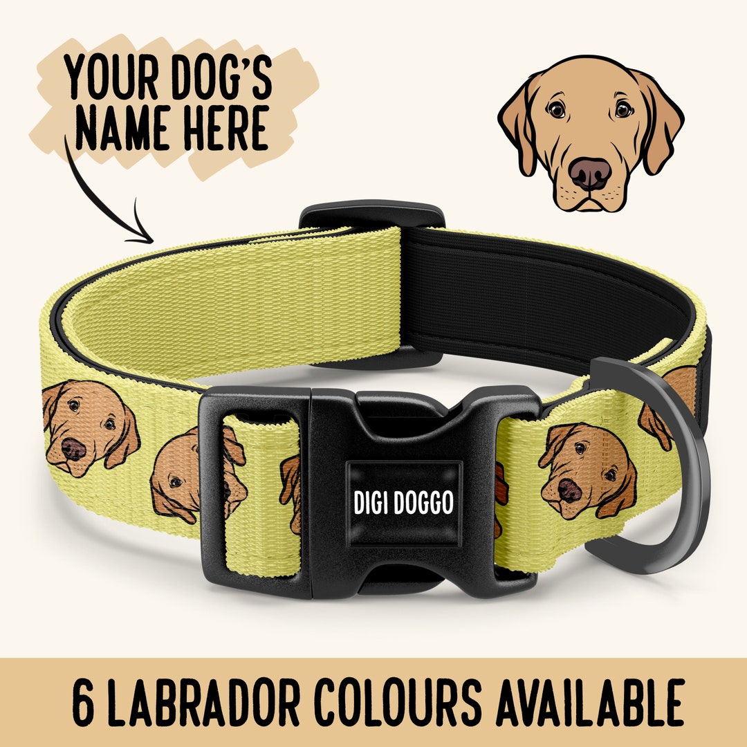Labrador Personalised Collar/ Labrador Face Pattern Collar ...
