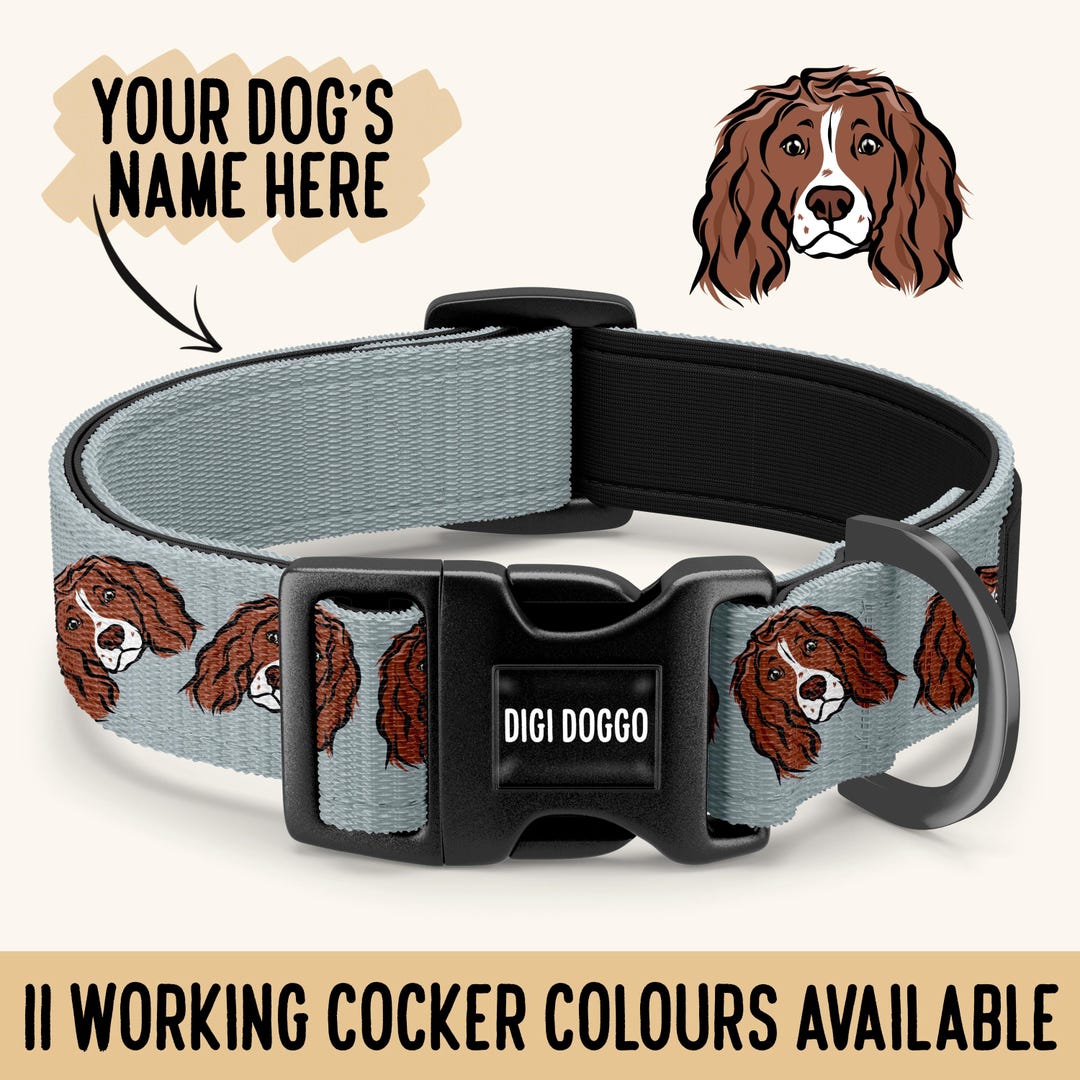 Working Cocker Spaniel Collar/ Custom Pet Buckle Collar/large Dog Breed ...
