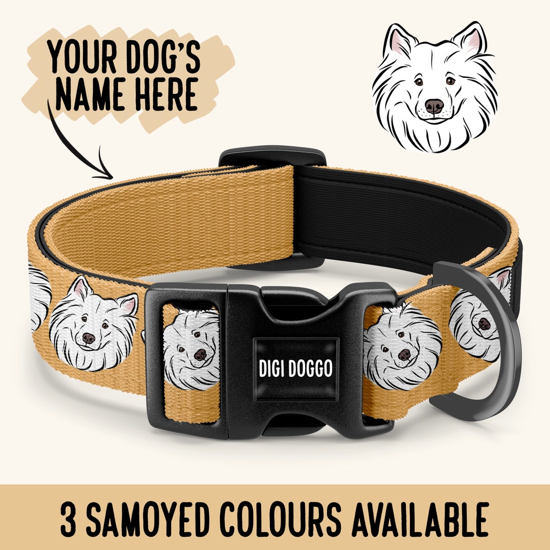 Samoyed Dog Collar/ Large Dog Personalised Collar/ Dog Buckle Collar ...