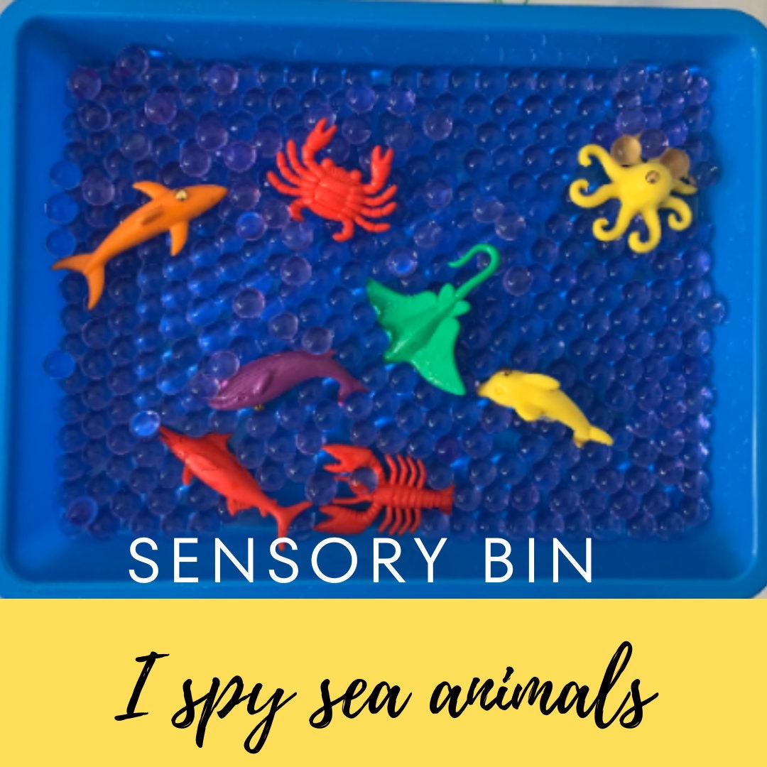 Sensory Bins Sensory Play I Spy Sea Animals Messy Play - Etsy