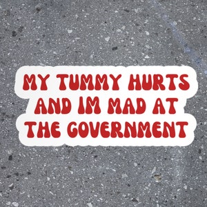 My Tummy Hurts and I'm Mad at the Government Sticker Laptop Stickers ...