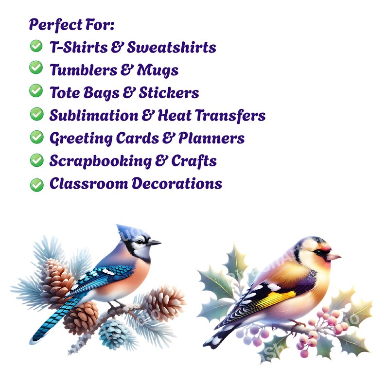 Watercolor Winter Birds Clipart Bundle - 20 Christmas Pngs (digital ...