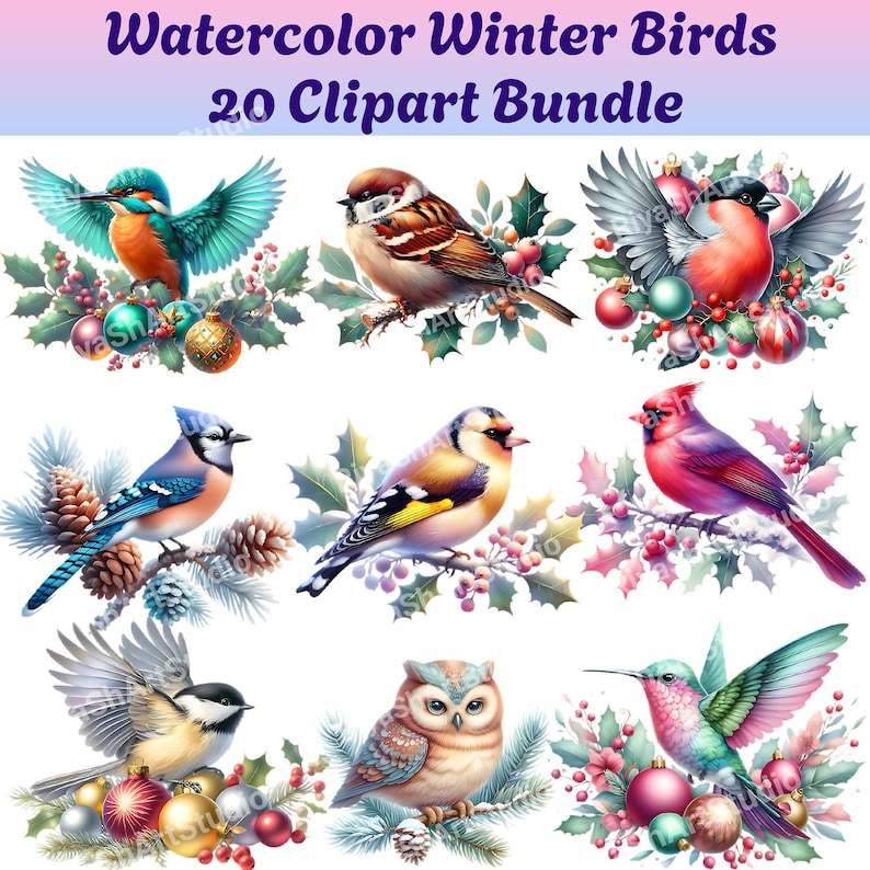 Watercolor Winter Birds Clipart Bundle - 20 Christmas Pngs (digital ...