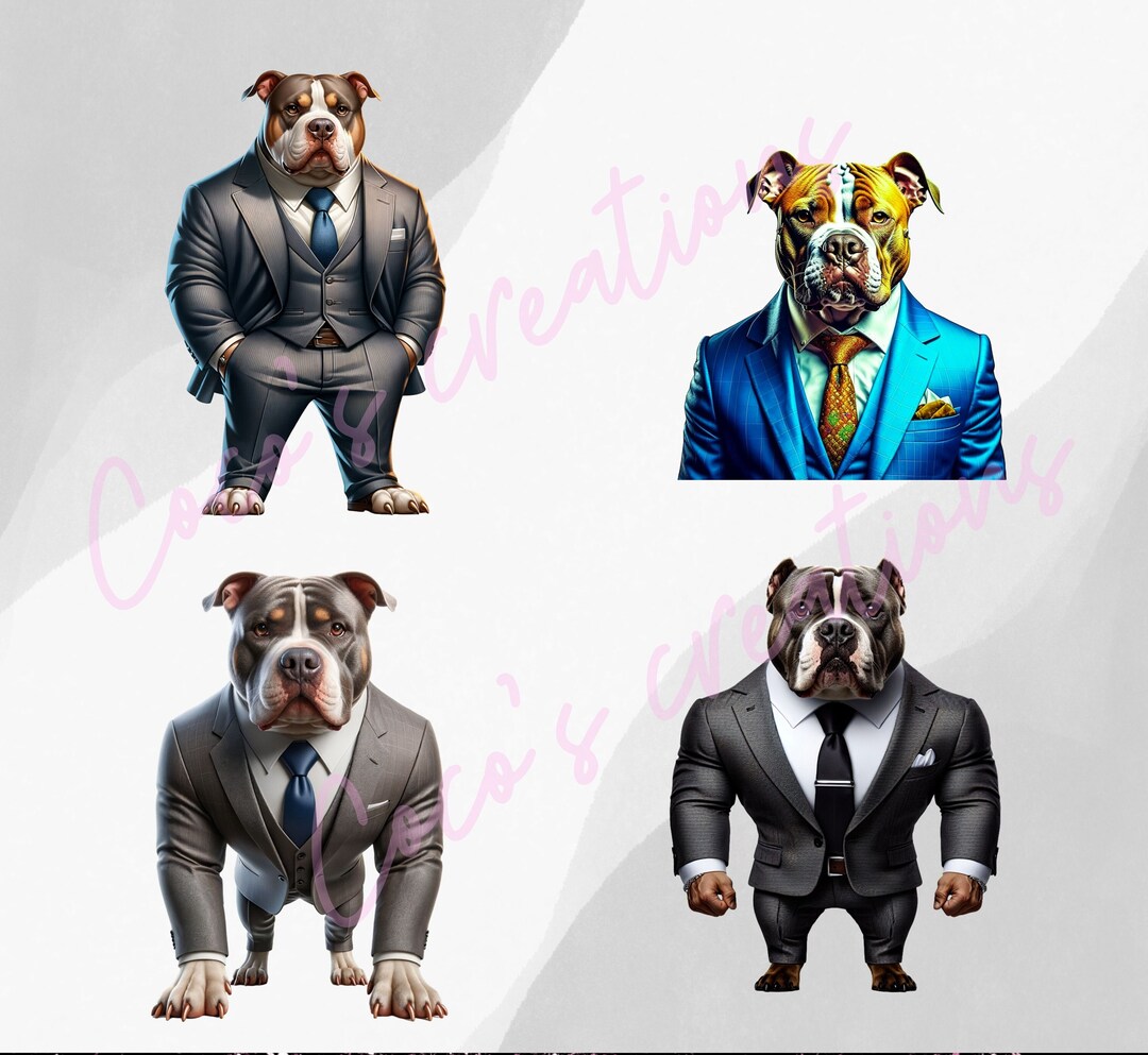 XL BULLY in a Suit 4 PNG Designs for Print on Demand Designs Instant ...