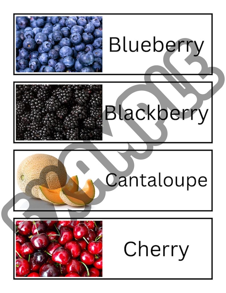 Fruit Alphabet and Word Cards - Etsy