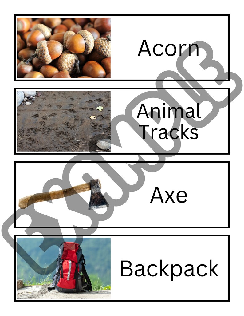 Camping Alphabet and Word Cards - Etsy