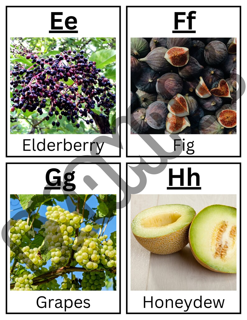 Fruit Alphabet and Word Cards - Etsy
