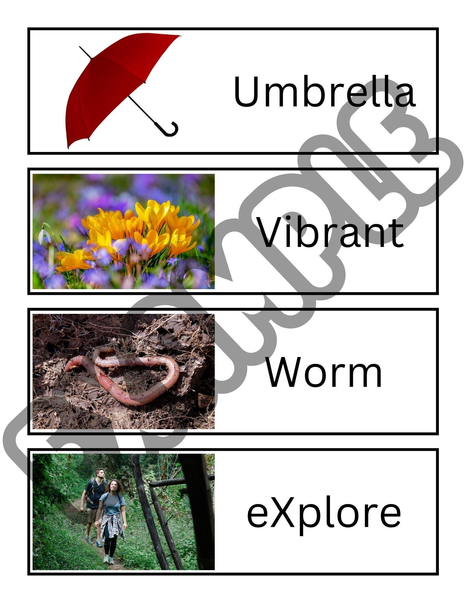 Spring Alphabet and Word Cards - Etsy