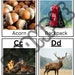 Camping Alphabet and Word Cards - Etsy