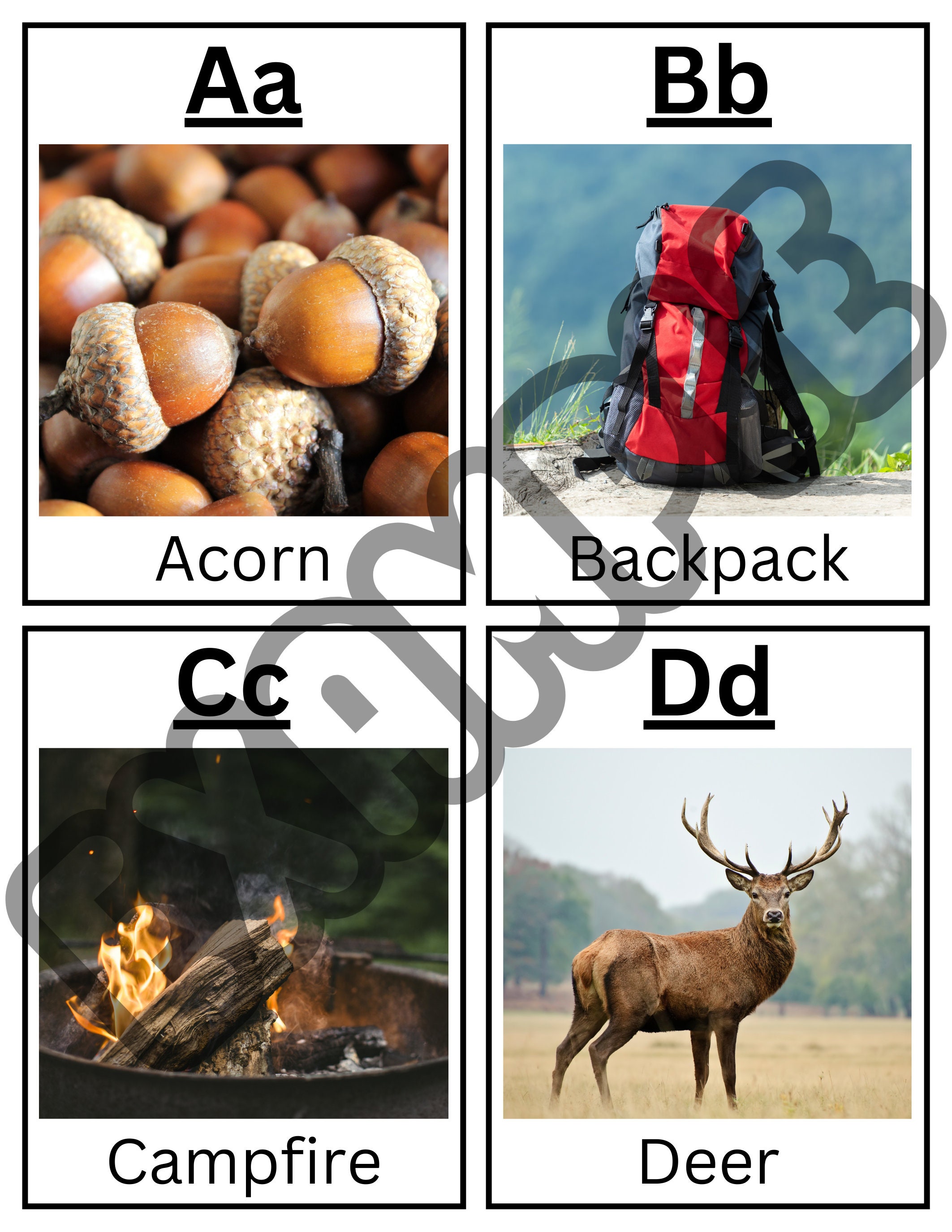 Camping Alphabet and Word Cards - Etsy