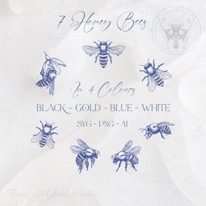 SVG Botanical Honey Bee Bundle PNG, Hand Drawn Illustrative Clipart ...