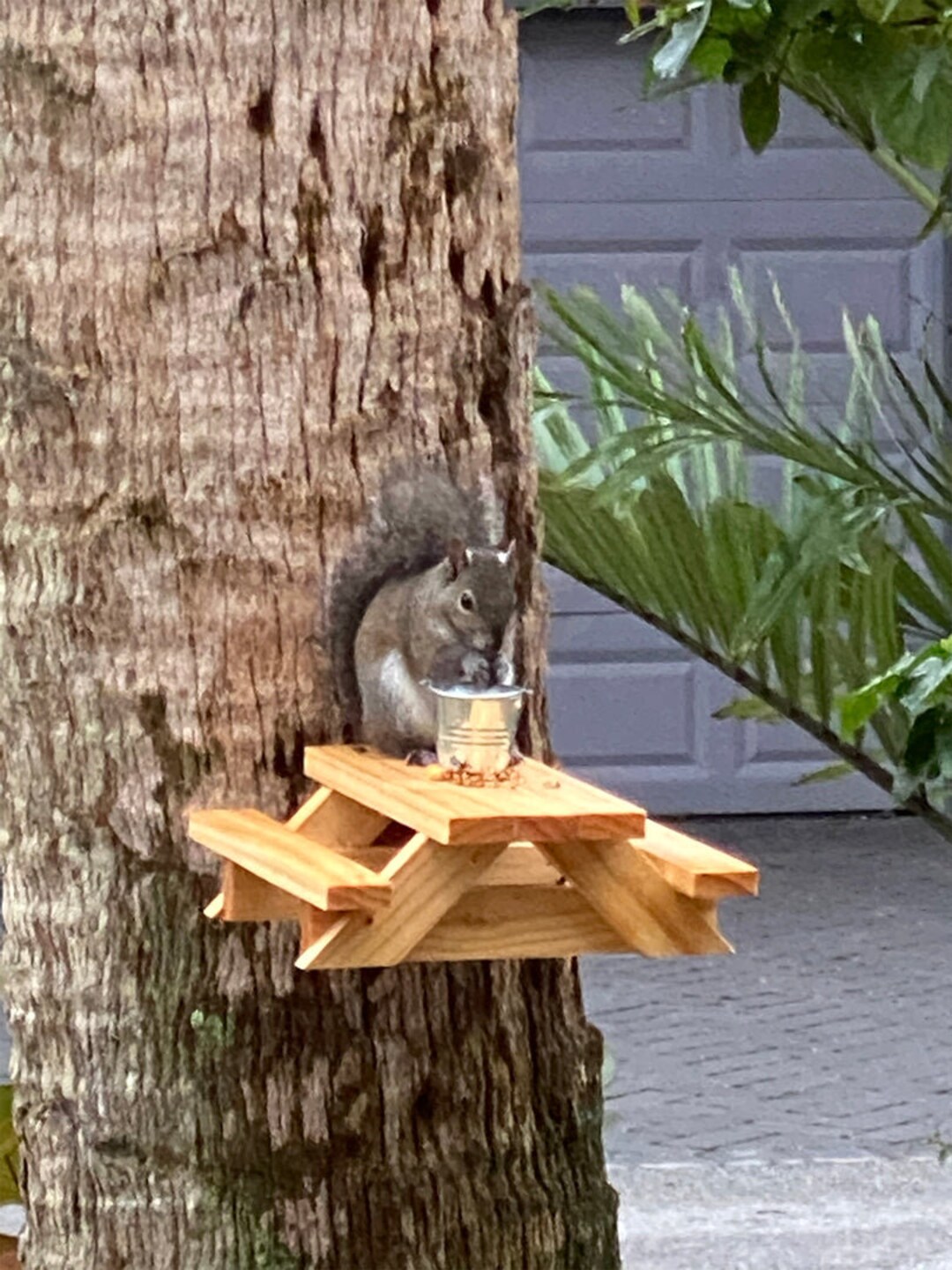 Squirrel Picnic Table - Etsy