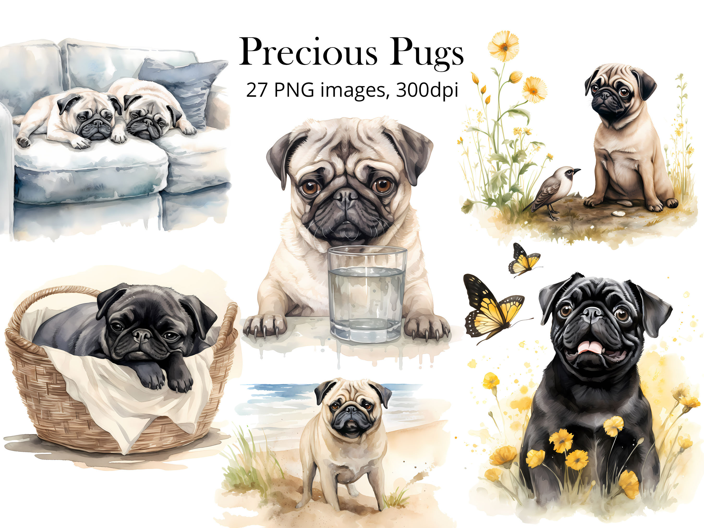 Dog Clipart, Pug Clip Art PNG Files, Transparent Background, Instant ...