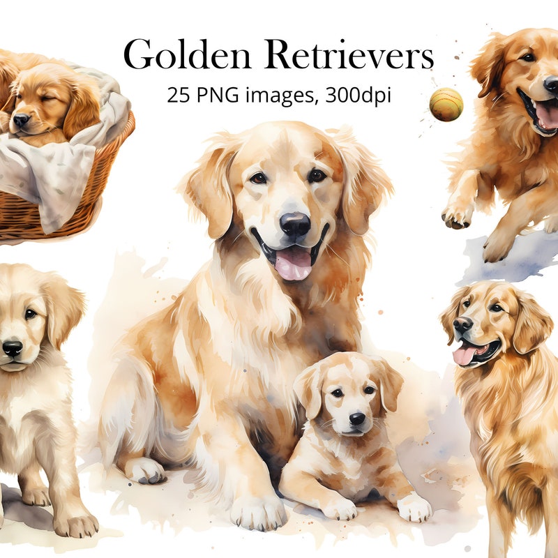 Golden Retriever Art - Etsy
