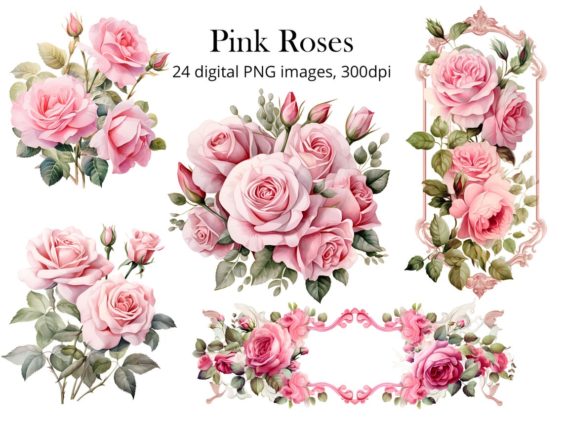 Pink Rose Floral Clipart PNG, Watercolor Clipart, Valentines, Wedding ...