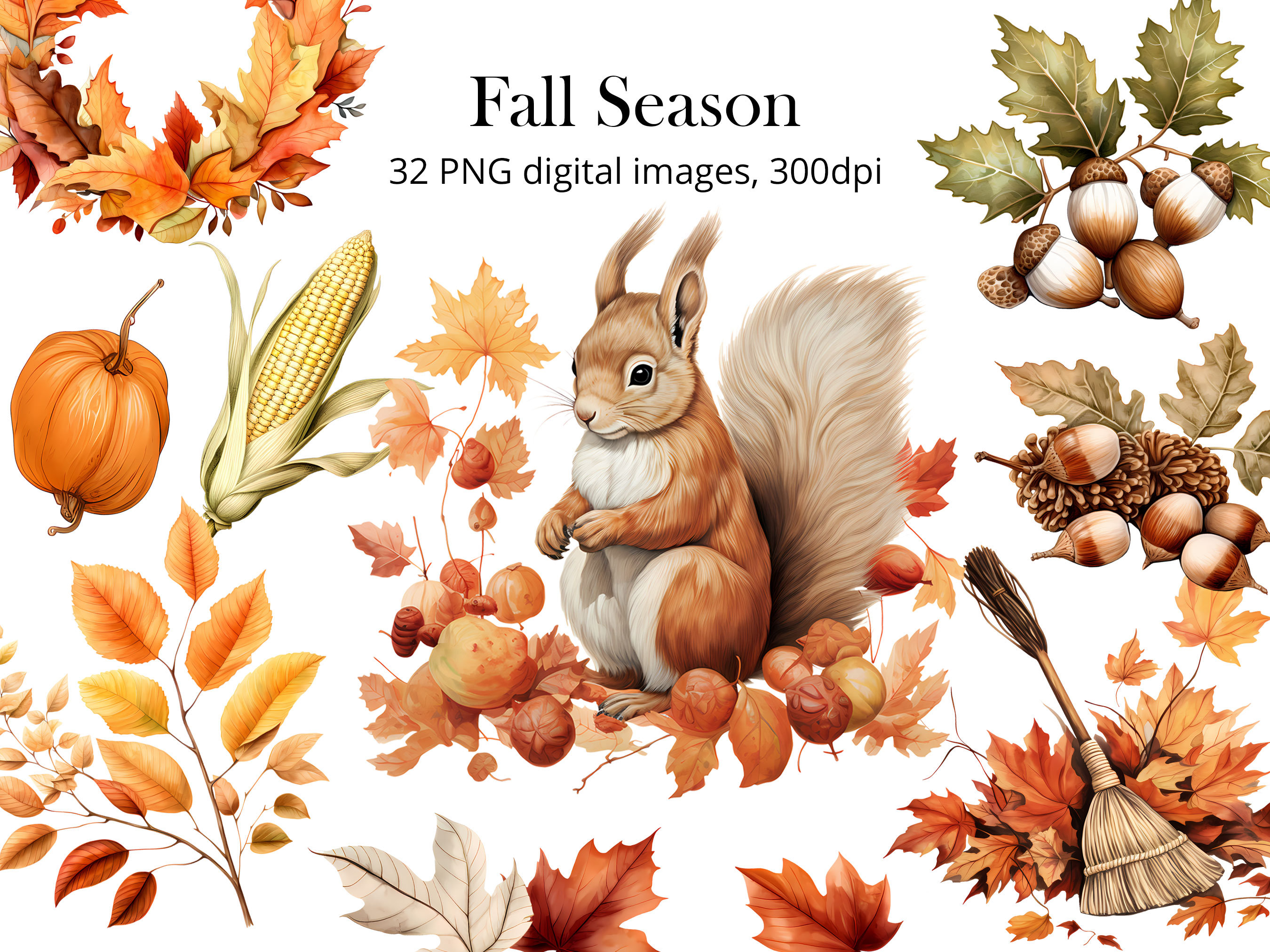 Fall Clipart, Squirrel Fall Leaves Pumpkin Corn Clip Art, PNG Files ...