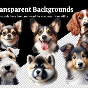 Realistic Dog Breed Clipart Bundle | 1,015 PNG Dog Portraits | Cute Dog ...