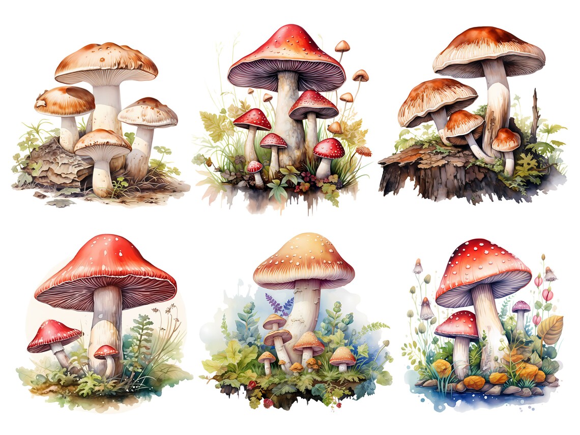 Mushroom Clipart, Watercolor Mushroom Digital Clip Art Graphics, PNG ...