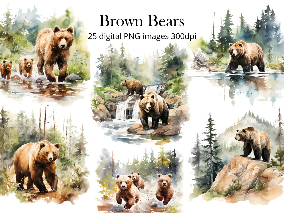 Brown Bears and Cubs in Forest Watercolor Clipart, PNG Clip Art Files ...