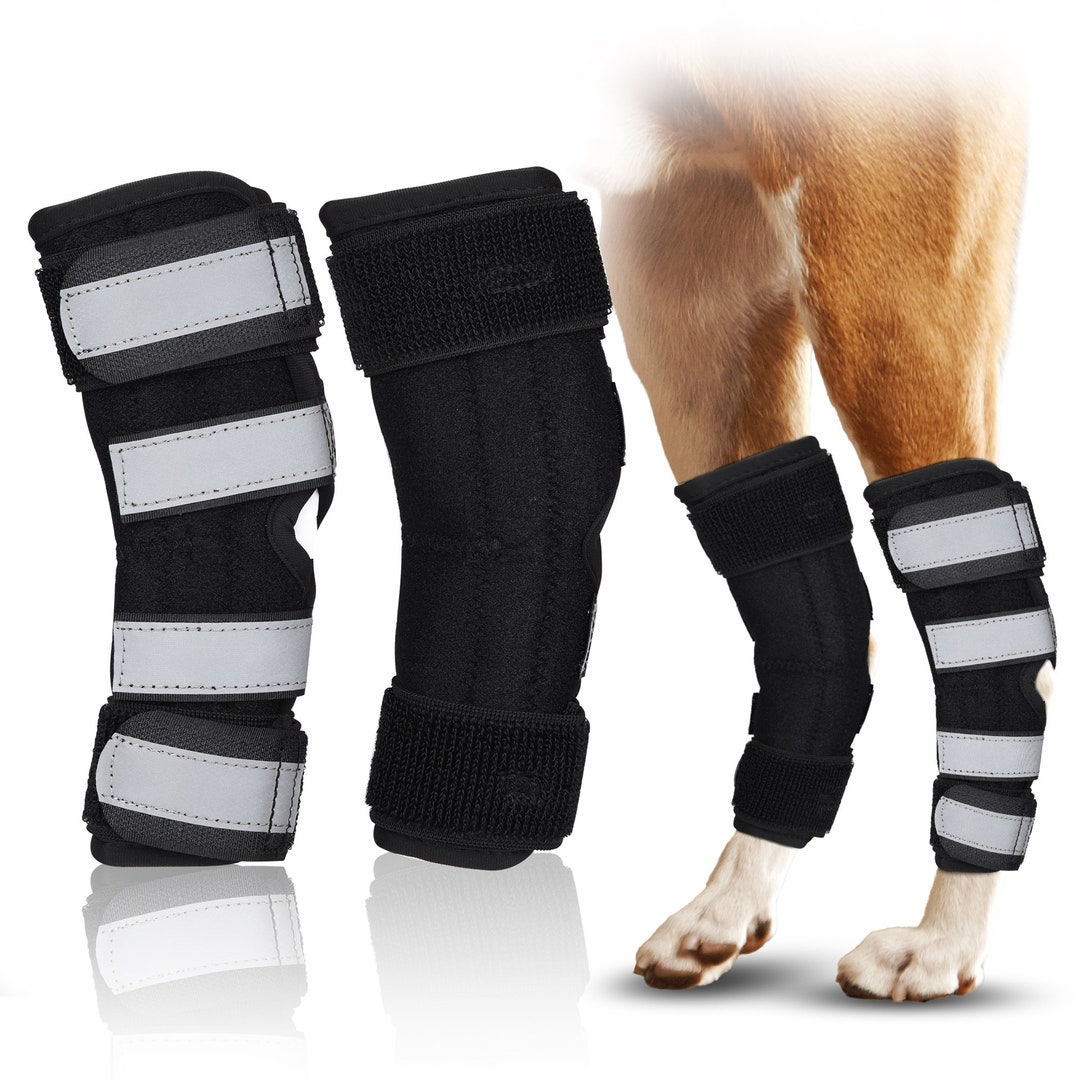NUTUCH Dog Rear Leg Brace | Dual Metal Strips and Safety Reflective ...