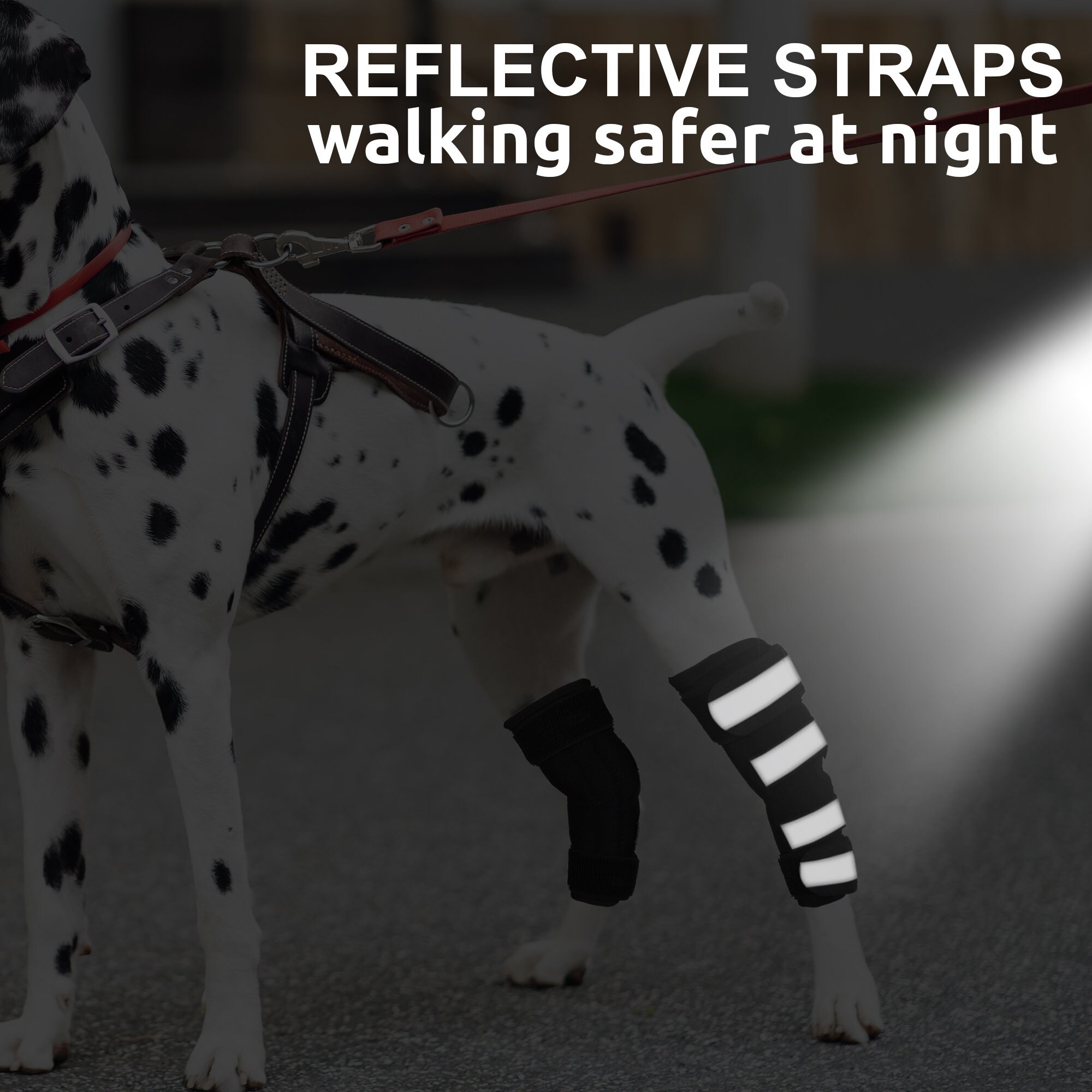 NUTUCH Dog Rear Leg Brace | Dual Metal Strips and Safety Reflective ...