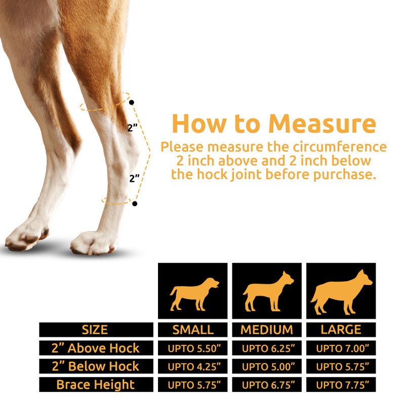 NUTUCH Dog Rear Leg Brace | Dual Metal Strips and Safety Reflective ...