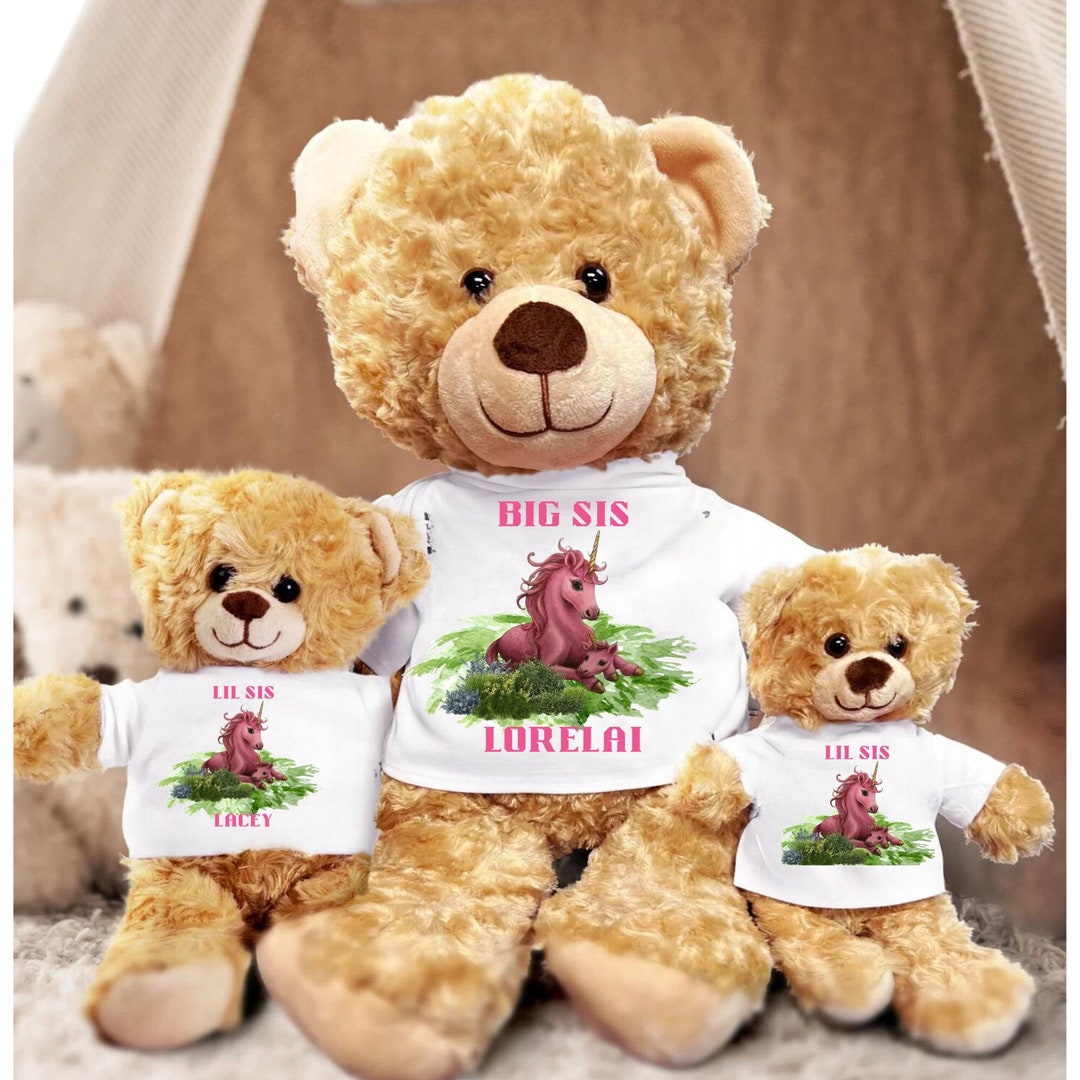 Personalized Matching Teddy Bears, Gift for Big Sister When Baby is ...