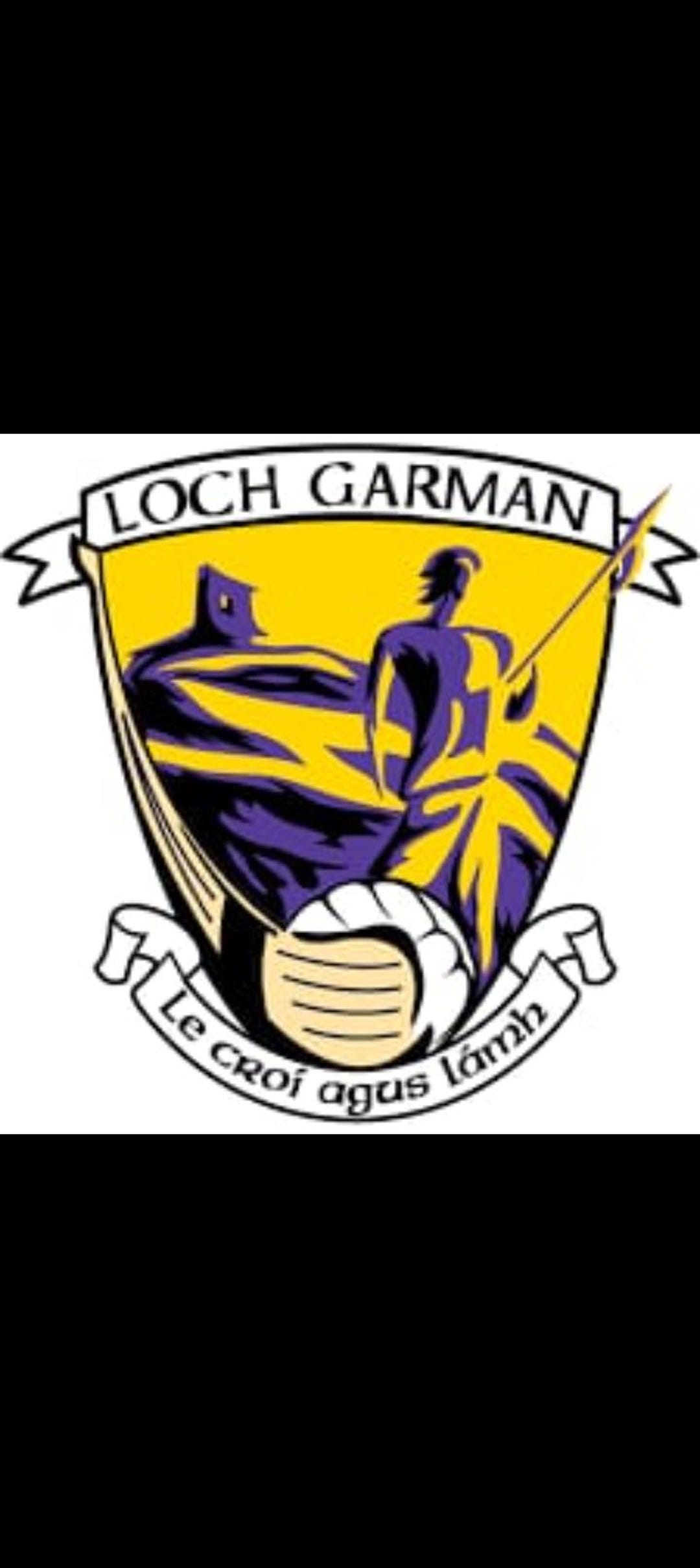 Wexford GAA Crest Cast Iron Sign - Etsy