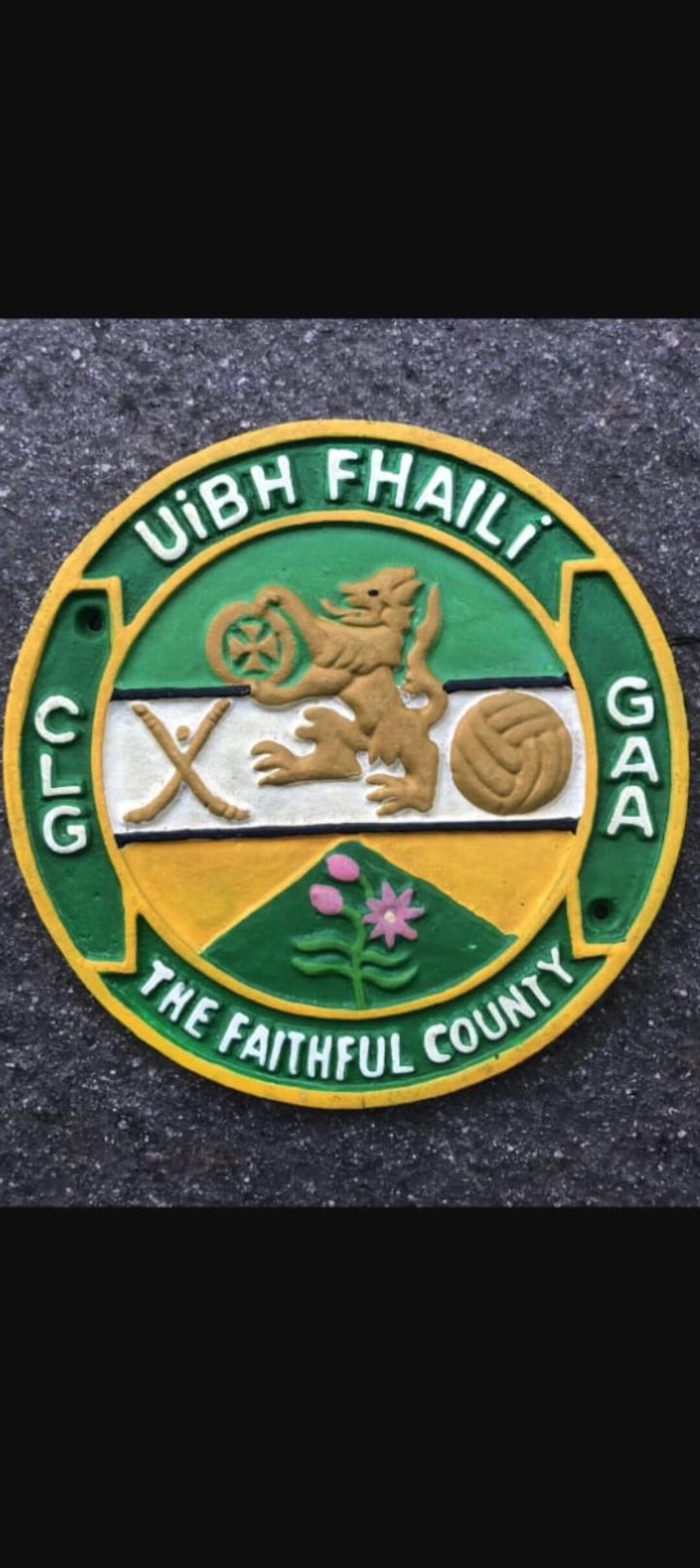 Offaly GAA Crest Cast Iron Sign - Etsy