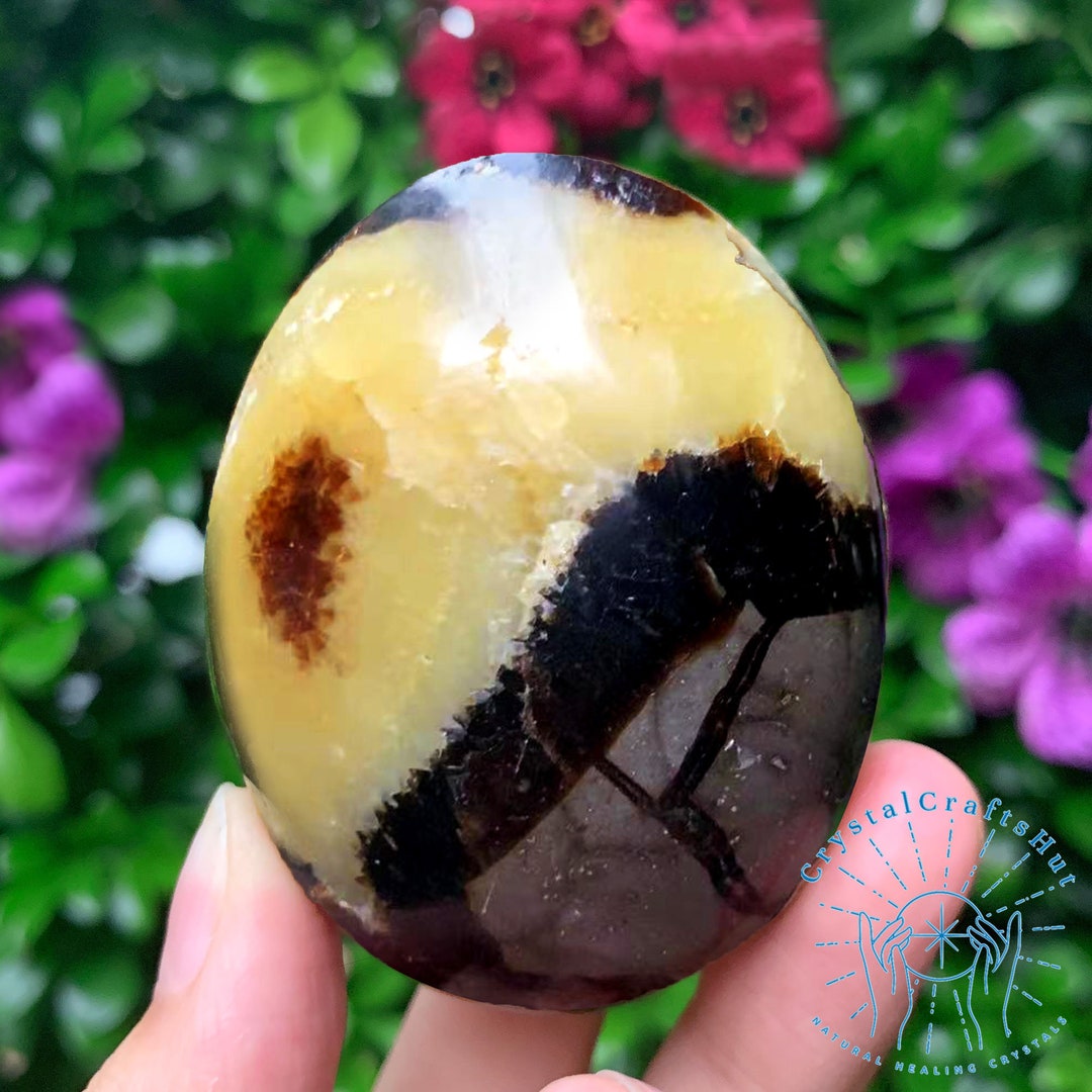 Raw Septarian Stone Polished Stone Pebble Rough Gemstones Dragon Stone ...