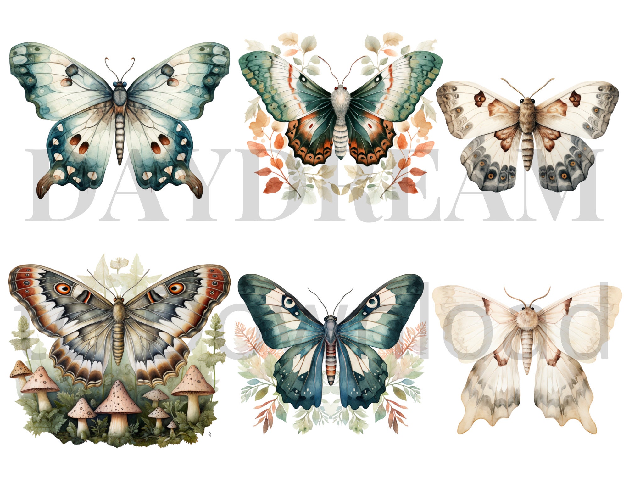Watercolor Moth Clipart, Moth Digital Art, for Commercial Use, Instant ...