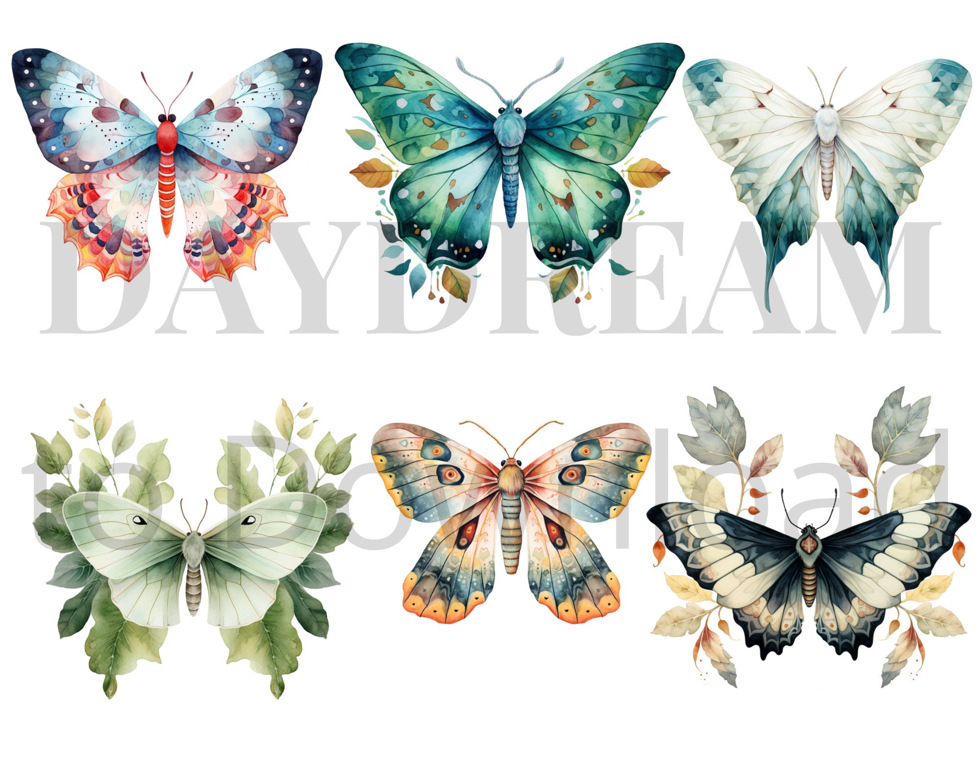 Watercolor Moth Clipart, Moth Digital Art, for Commercial Use, Instant ...