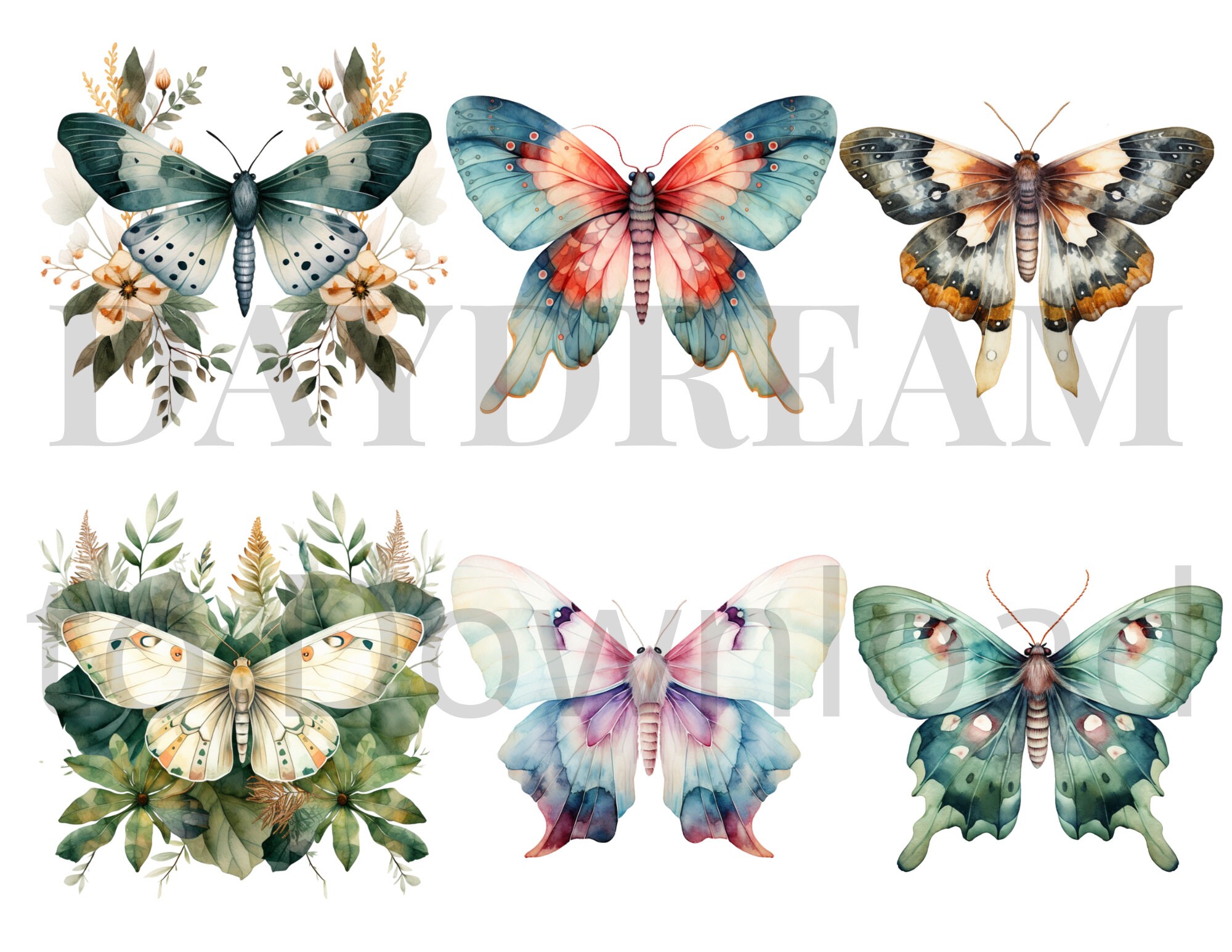 Watercolor Moth Clipart, Moth Digital Art, for Commercial Use, Instant ...