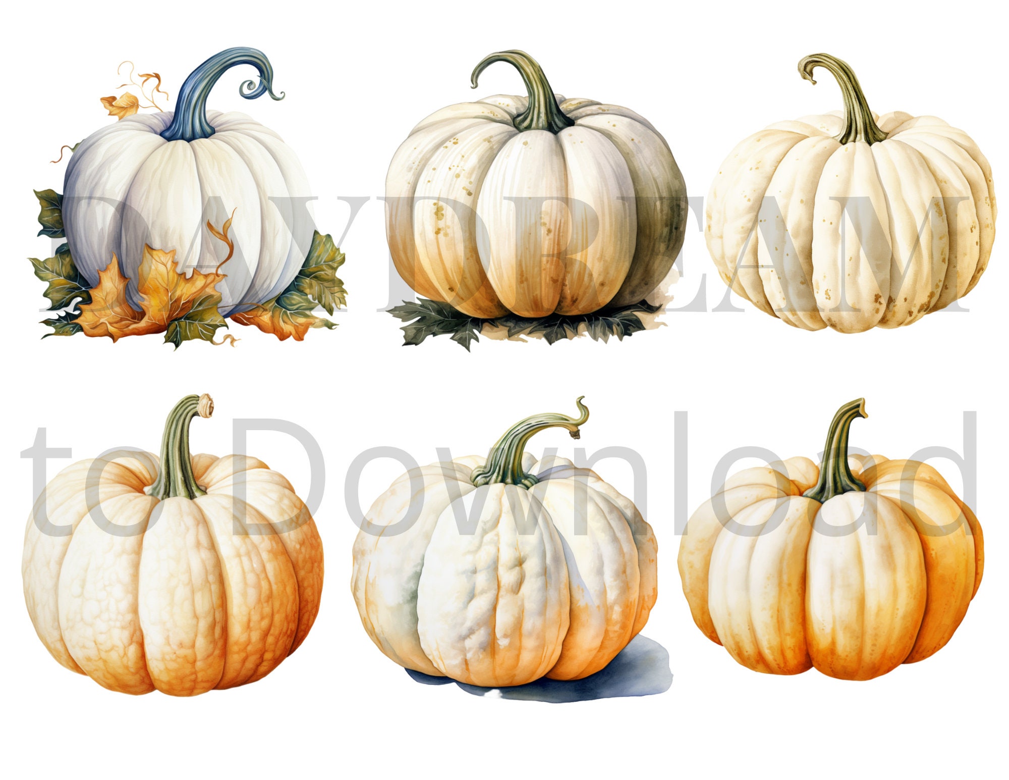 Watercolor Pumpkin Clipart, Fall Clipart, Instant Download, for ...
