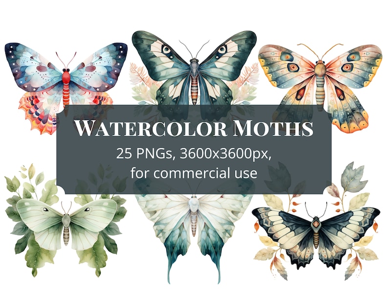 Watercolor Moth Clipart, Moth Digital Art, for Commercial Use, Instant ...