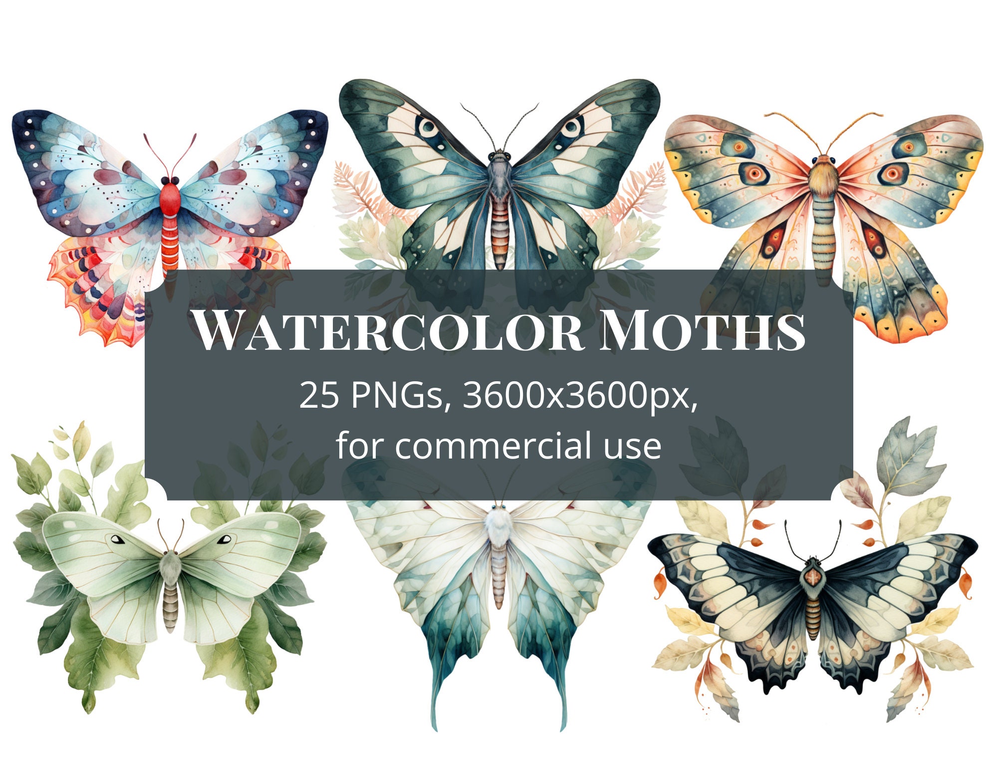 Watercolor Moth Clipart, Moth Digital Art, for Commercial Use, Instant ...
