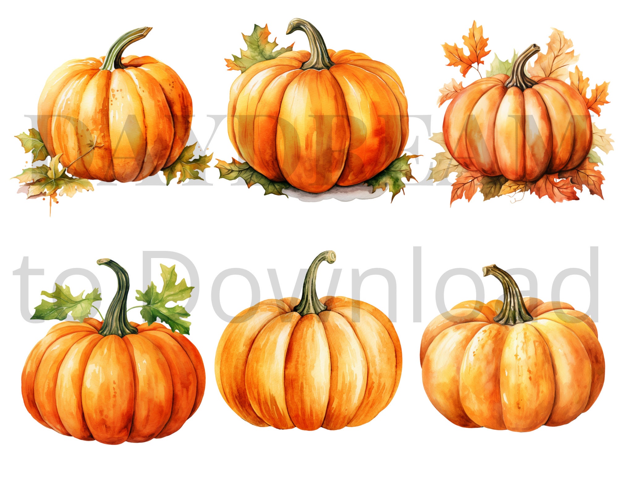 Watercolor Pumpkin Clipart, Fall Clipart, Instant Download, for ...