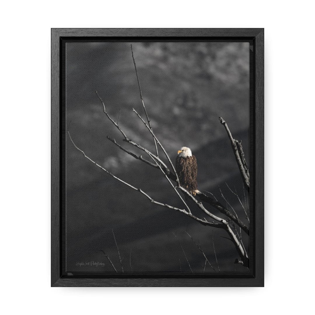 Birds of Prey-gallery Canvas Wraps, Vertical Frame - Etsy
