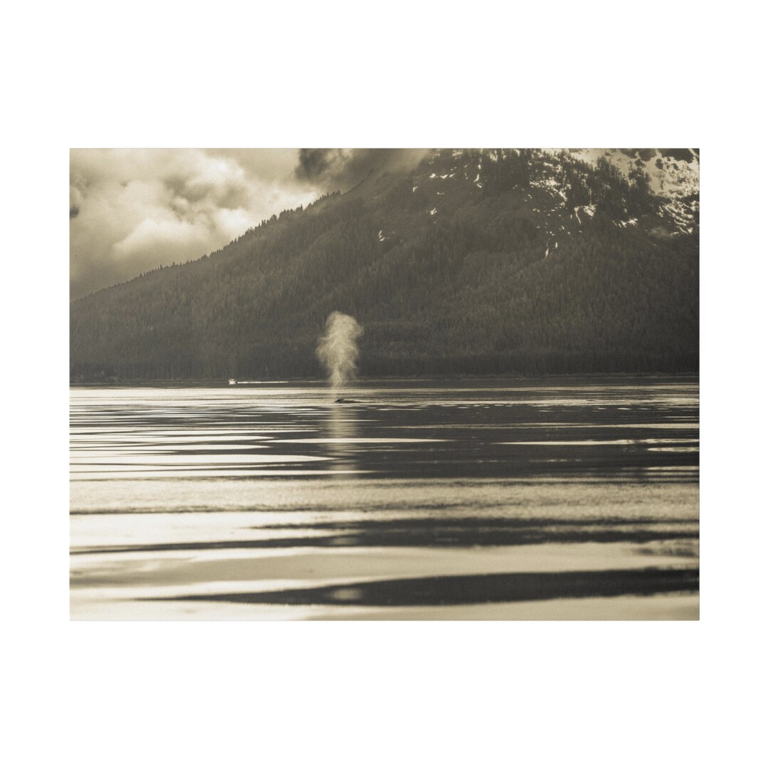 Whale Mist Hump Back Whale Juneau Alaska-matte Canvas, Stretched, 0.75 ...