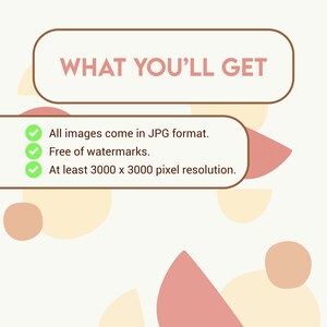 Next Level 1533 Size Chart Tank Top White Woman Lifestyle, 1533 Size ...